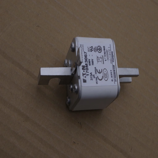 Hrc fuse body Square body fuse 170M3067 315A 690V 200kA aR 1*TN/80 fuse ...